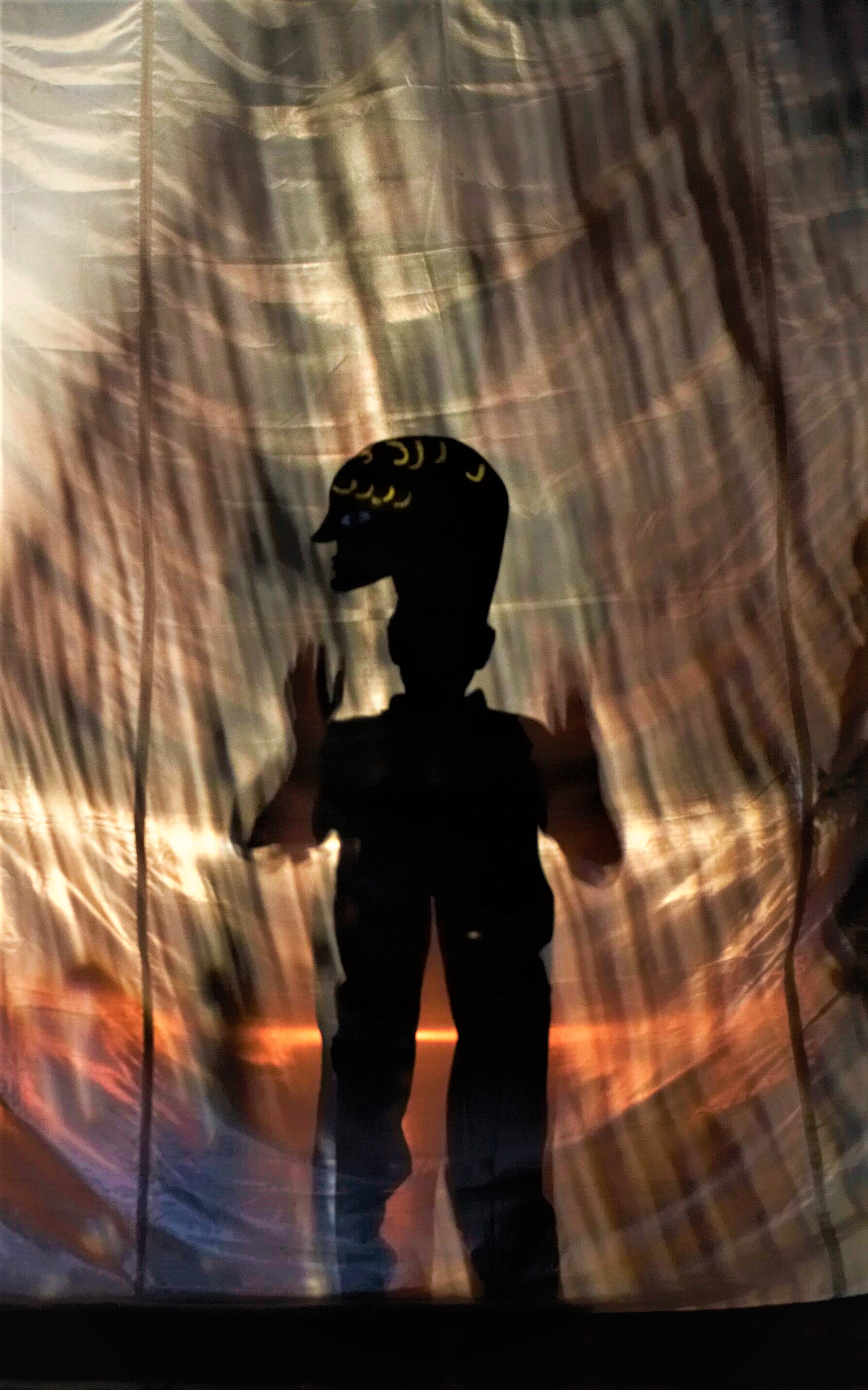 Shadow Puppet Making - Indigo Moon Theatre